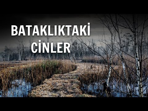 Arkadaşımla Girdiğimiz Bataklık Yolda Başıma Gelenler | Cin Hikayeleri | Korku Hikayeleri