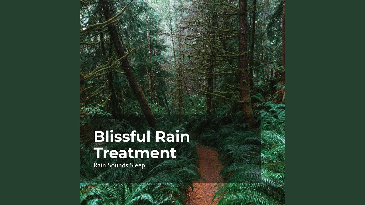 Sleep While Raining - YouTube