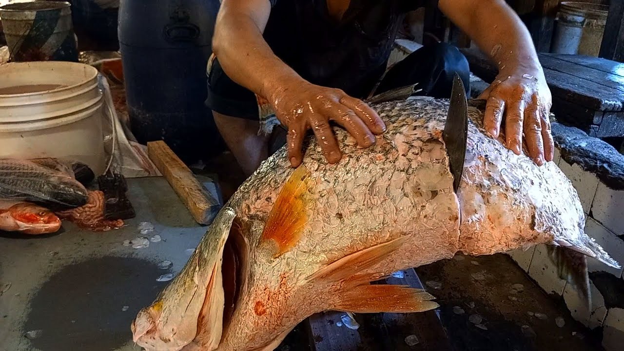 Giant Kural Fish Cutting in Fish Market | Fish Cutting Skill - YouTube