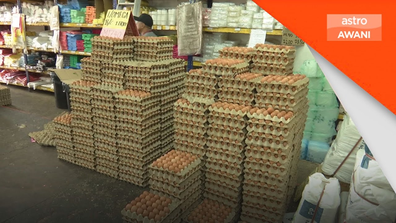 Bekalan Telur | Peniaga dan pemborong harap isu diselesaikan segera ...