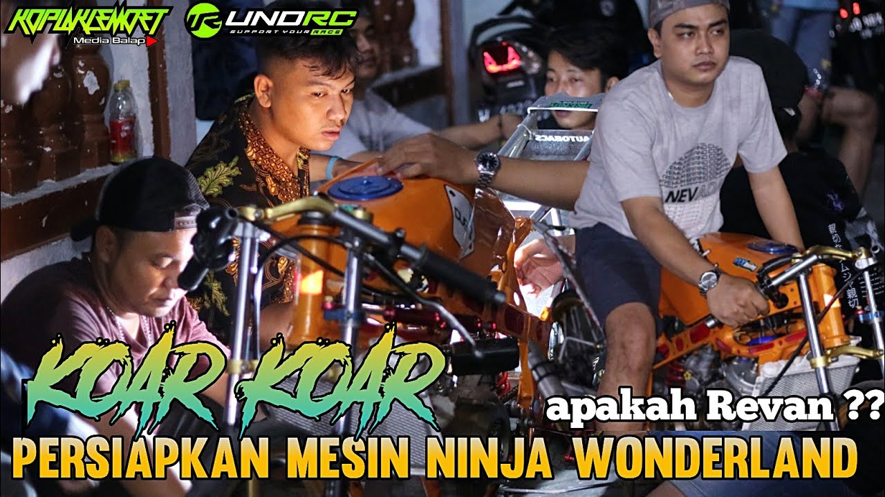 KOAR-KOAR KEMBALI RISET NINJA WONDERLAND || AKANKAH REVAN ATAU TERIMA ...