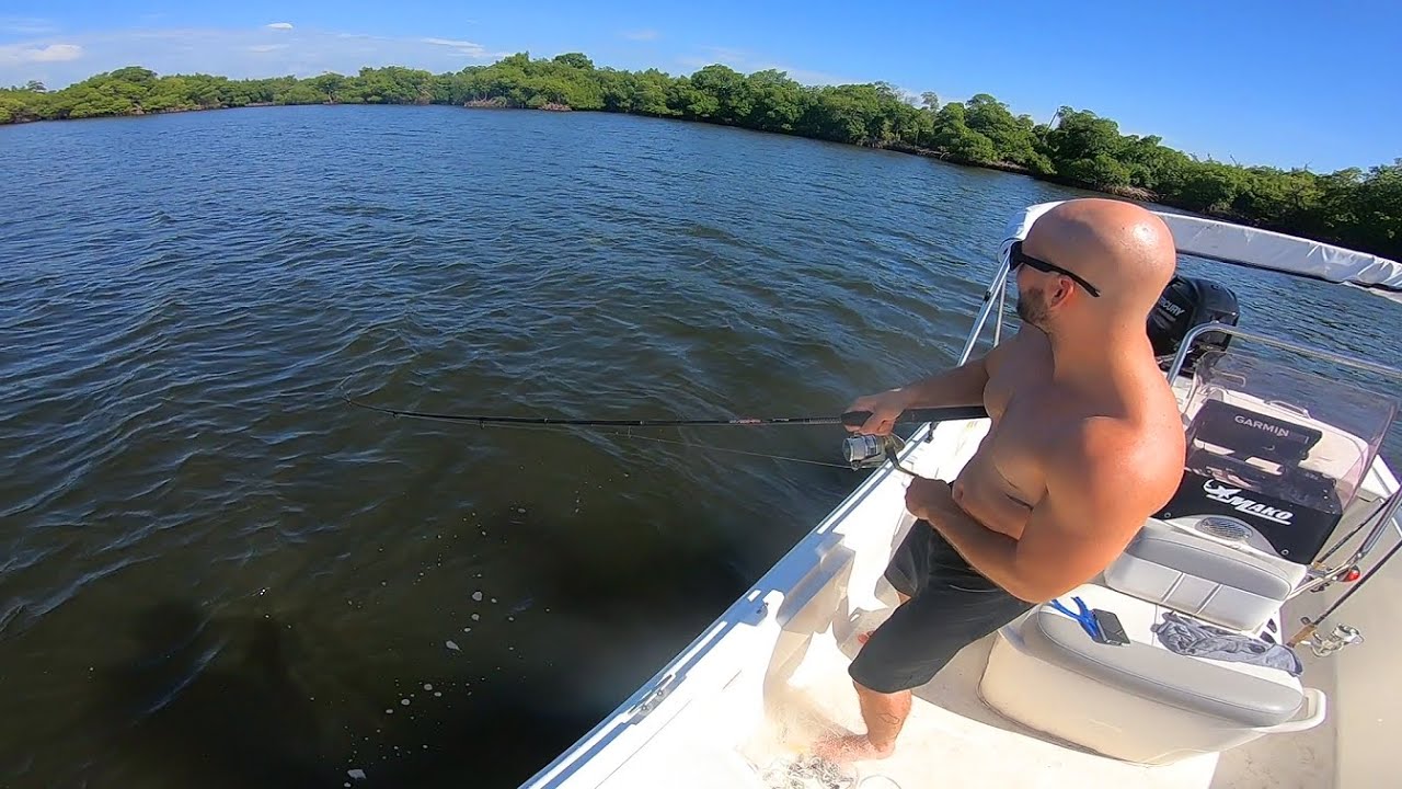 Fishing Inshore Mangroves with Shrimp! | Mako Pro Skiff 17 - YouTube