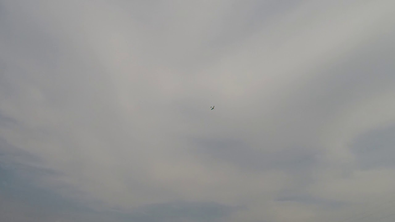 RC DLG Lightning BUG I - YouTube