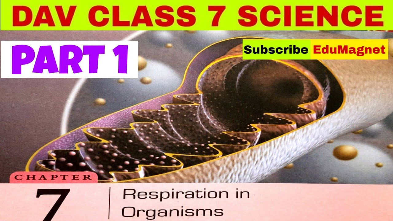 DAV CLASS 7 SCIENCE CHAPTER 7 RESPIRATION IN ORGANISMS |EXPLANATION ...