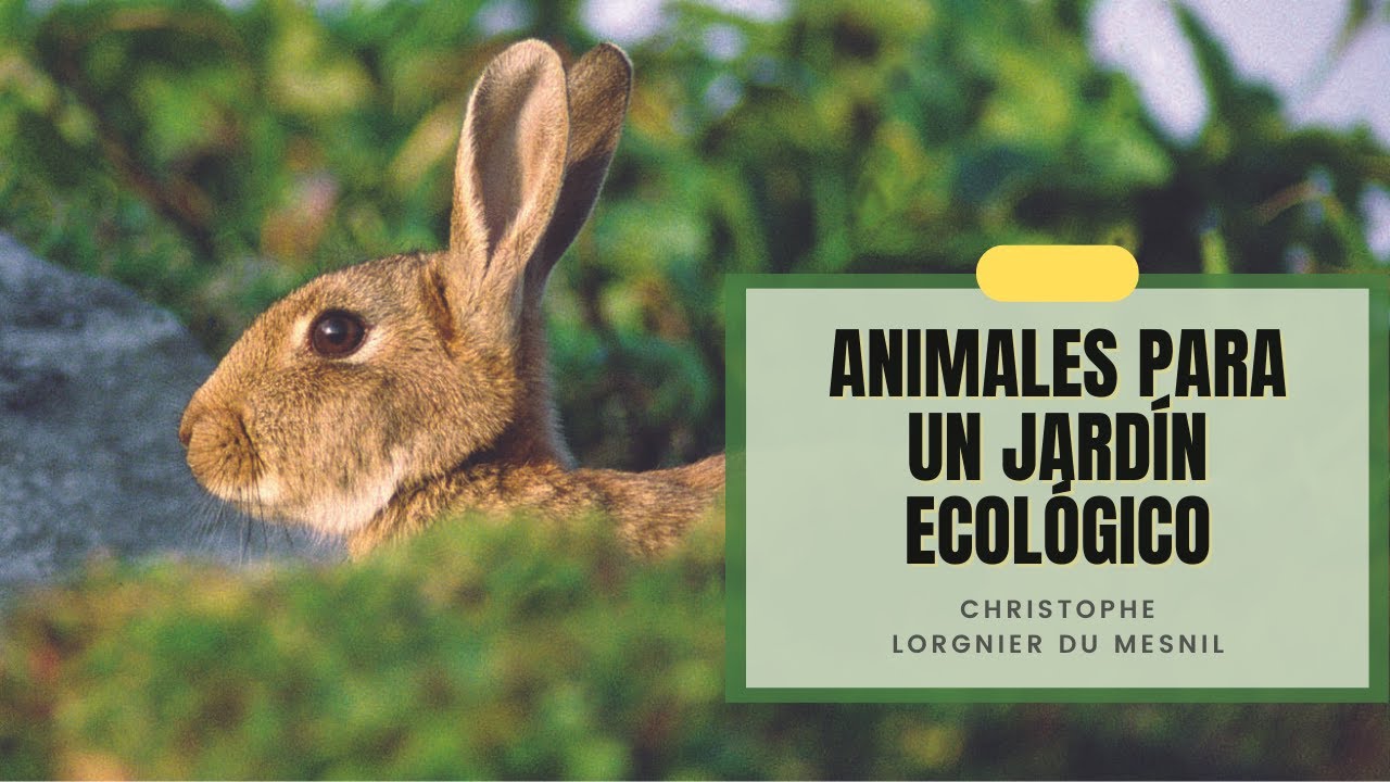 [#Podcast] Animales para un jardín ecológico - Animals for an ...