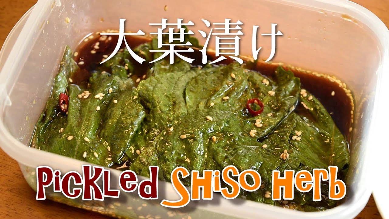 Pickled Shiso herb (Ooba) recipe Easy Tasty Japanese Authentic rice ...