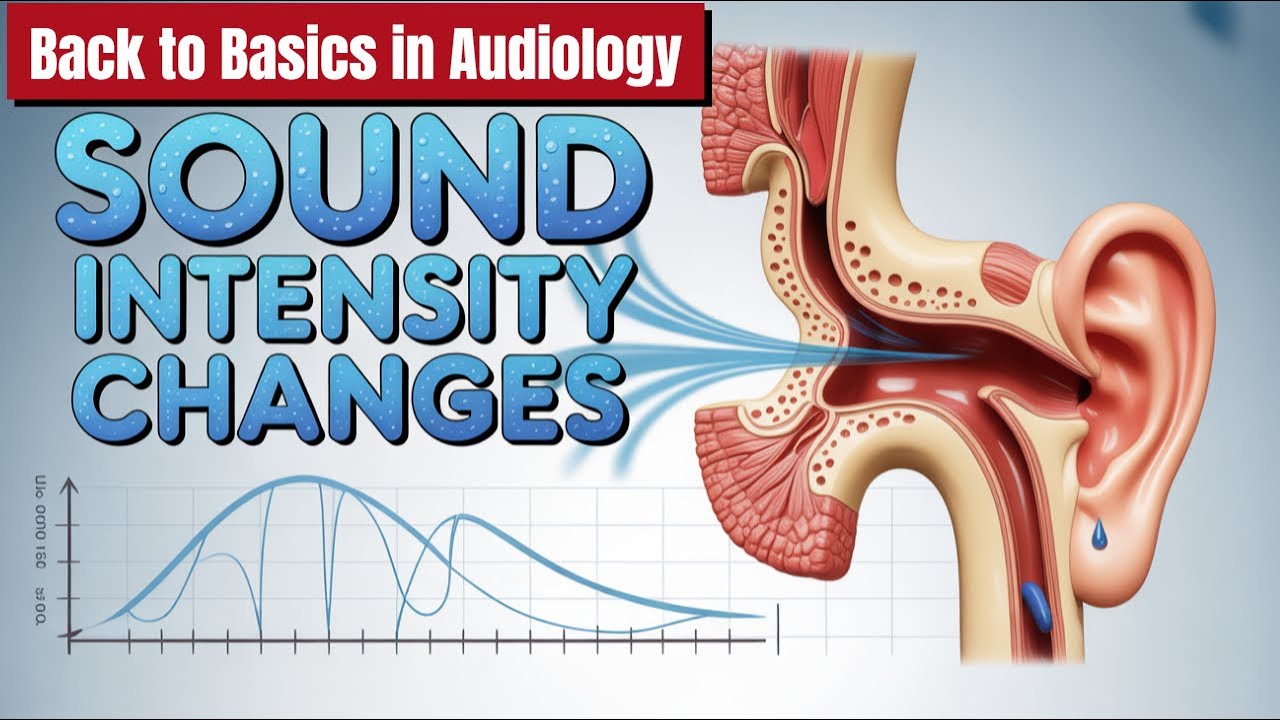 The Physics of Loudness: How Doubling Your Distance Slashes Sound ...
