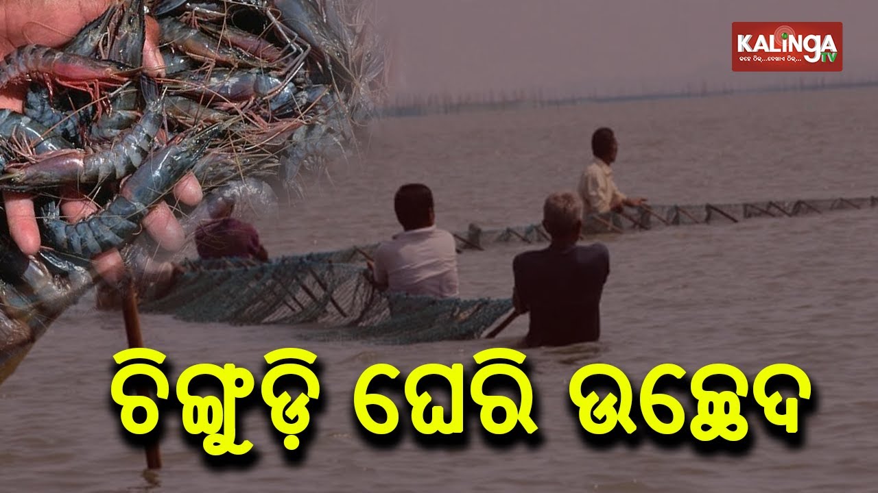 Illegal Prawn Gheris Spread In Forest Land To Be Demolished In ...