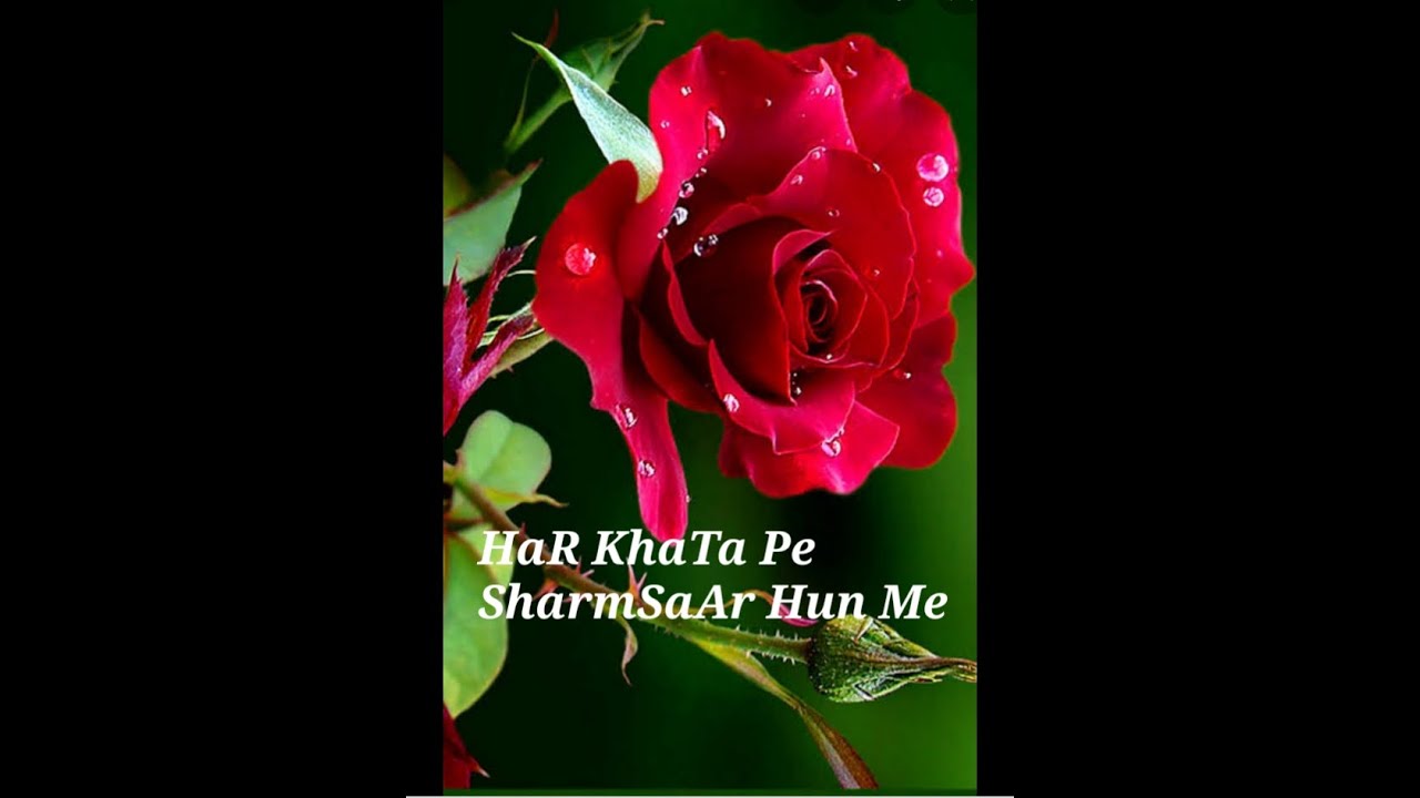 Har Khata pe Sharmsaar Hoon Main.... - YouTube