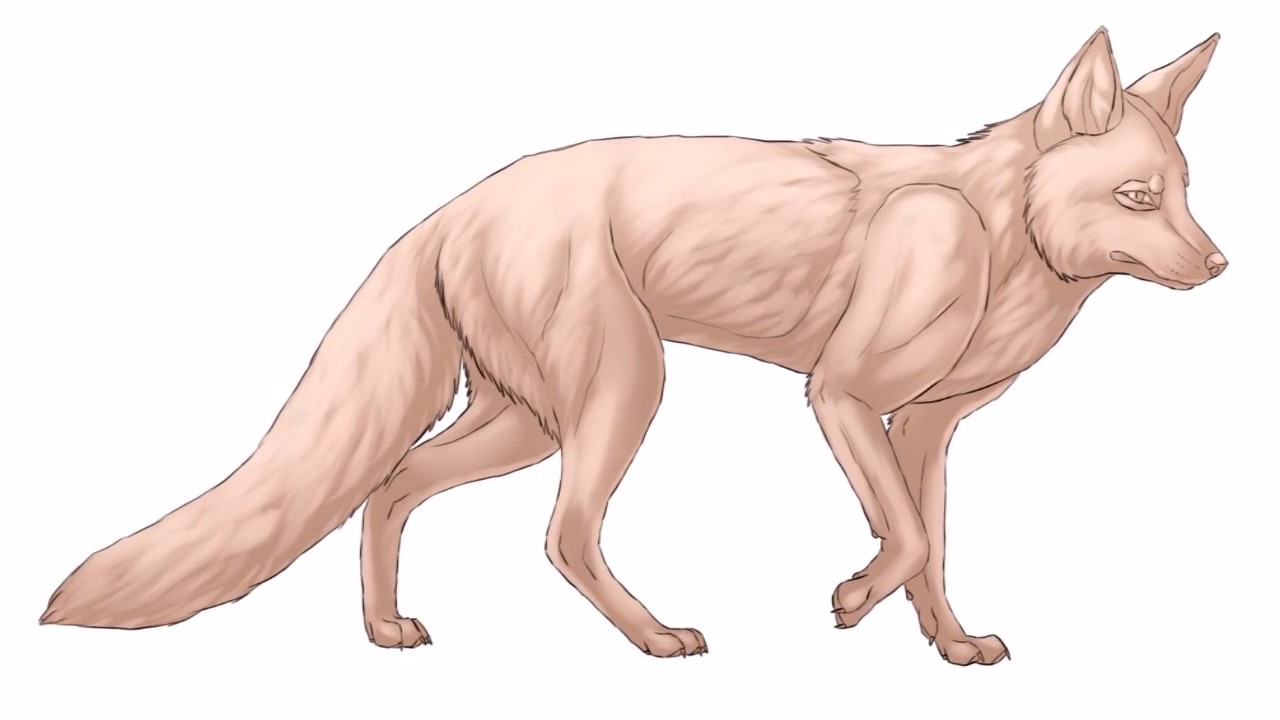 Quick Fur Shading in Paint Tool Sai - YouTube