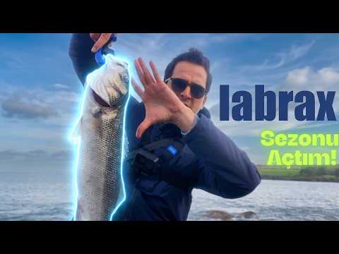 Dev Levrek ile Sexonu Açtım. Bu Sexon Çook Fena Olacak! #levrek #labrax  #balık #balıkavı