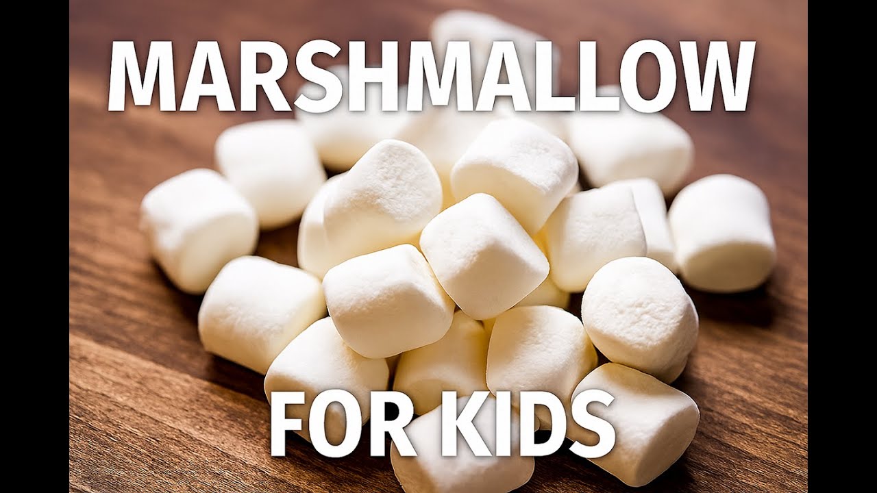 Marshmallows | marshmallow facts | fun food facts | food history - YouTube