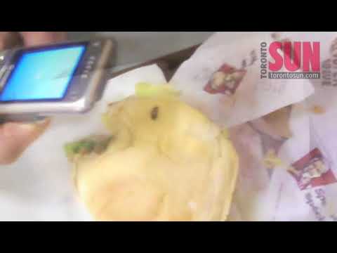 Cockroach found in KFC sandwich - YouTube