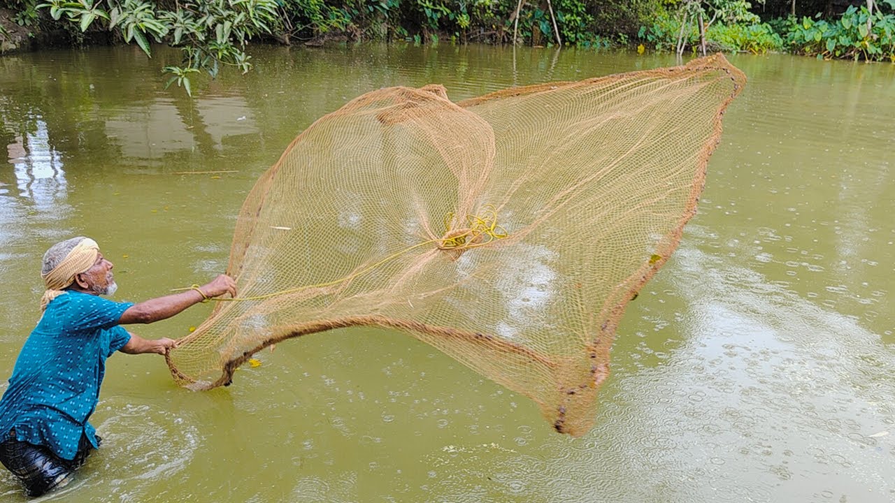 Net Fishing - Fish Catching Using by Cast Net in The Village Beautiful ...