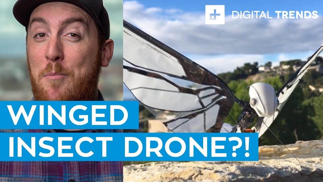 ATYCBY: Winged Insect Drones, Eco Friendly Shoes & More! - YouTube