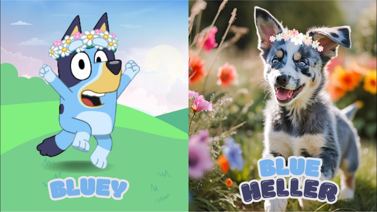 Bluey Characters in Real Life | Get to Know Bluey’s Adorable Characters ...