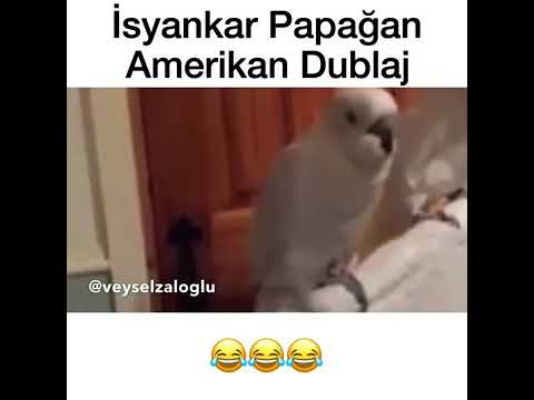 Amerikan dublaj,,, 2018