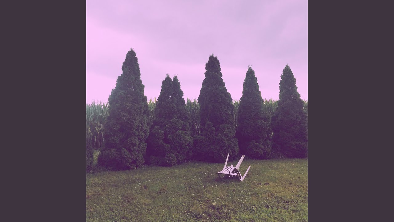 Yellow Fox - YouTube