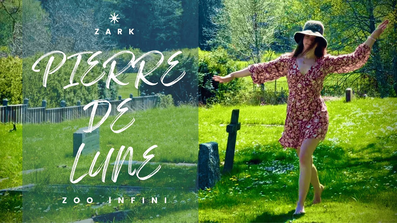 Pierre de Lune (CLIP OFFICIEL) | Zark - YouTube