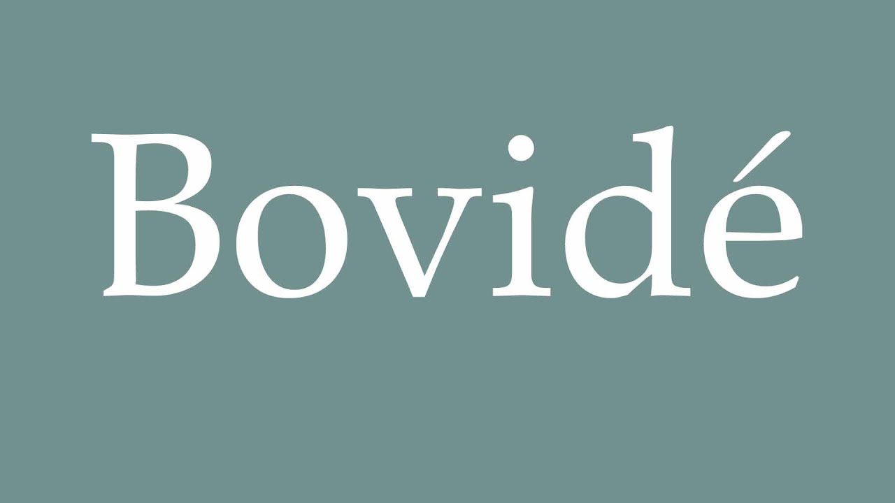 How to Pronounce ''Bovidé'' (Bovid) Correctly in French - YouTube
