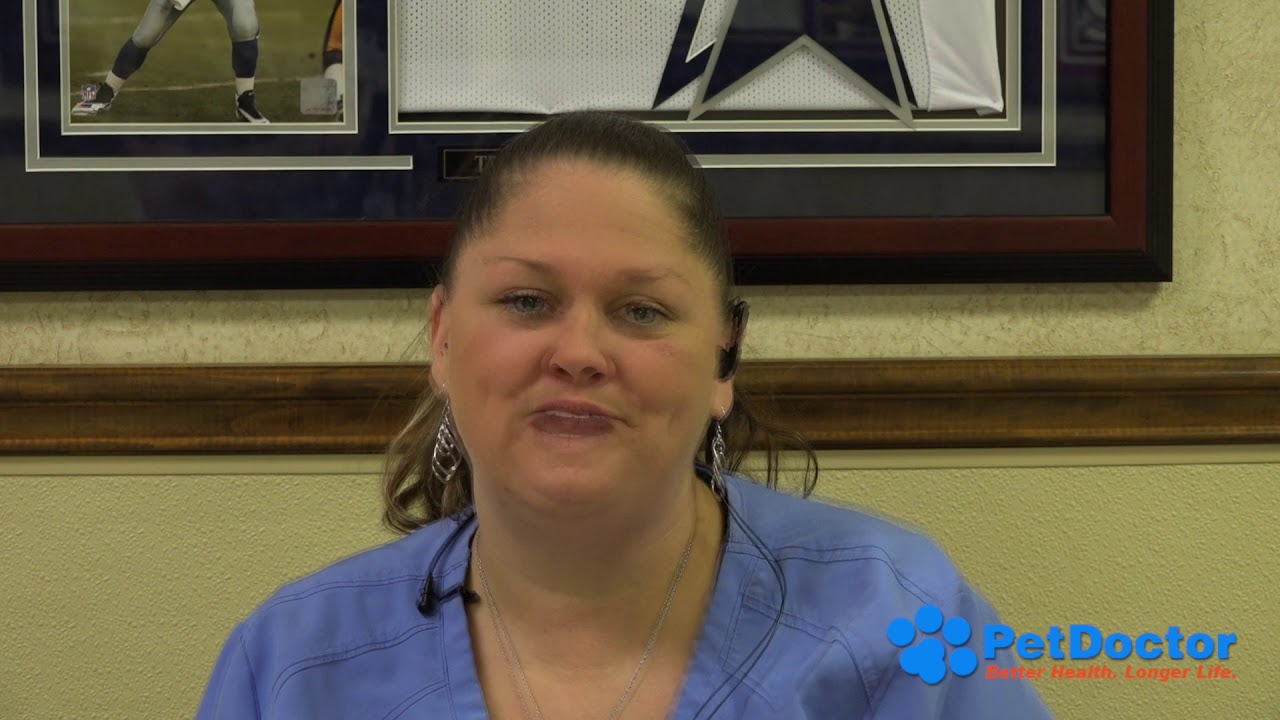 Meet The Team - Taren Barnard- Pet Doctor - Rockwall, Tx - YouTube