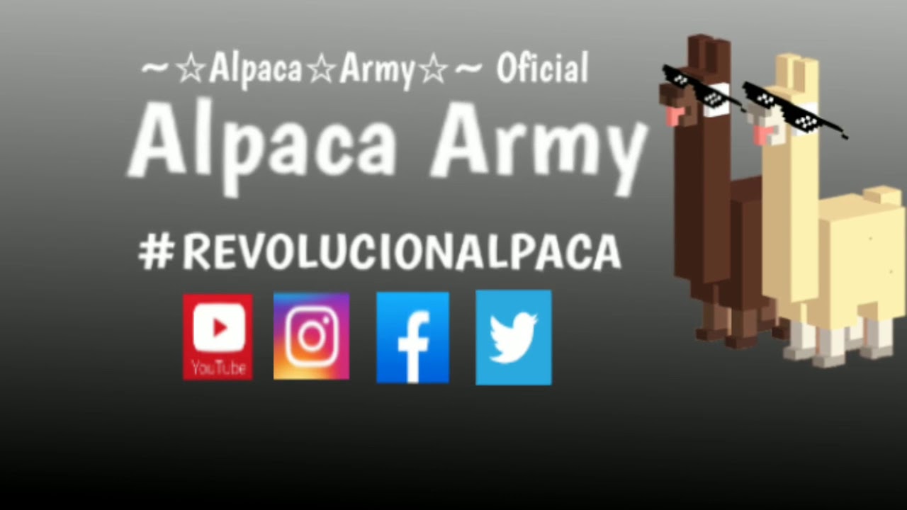 Alpaca Army - YouTube