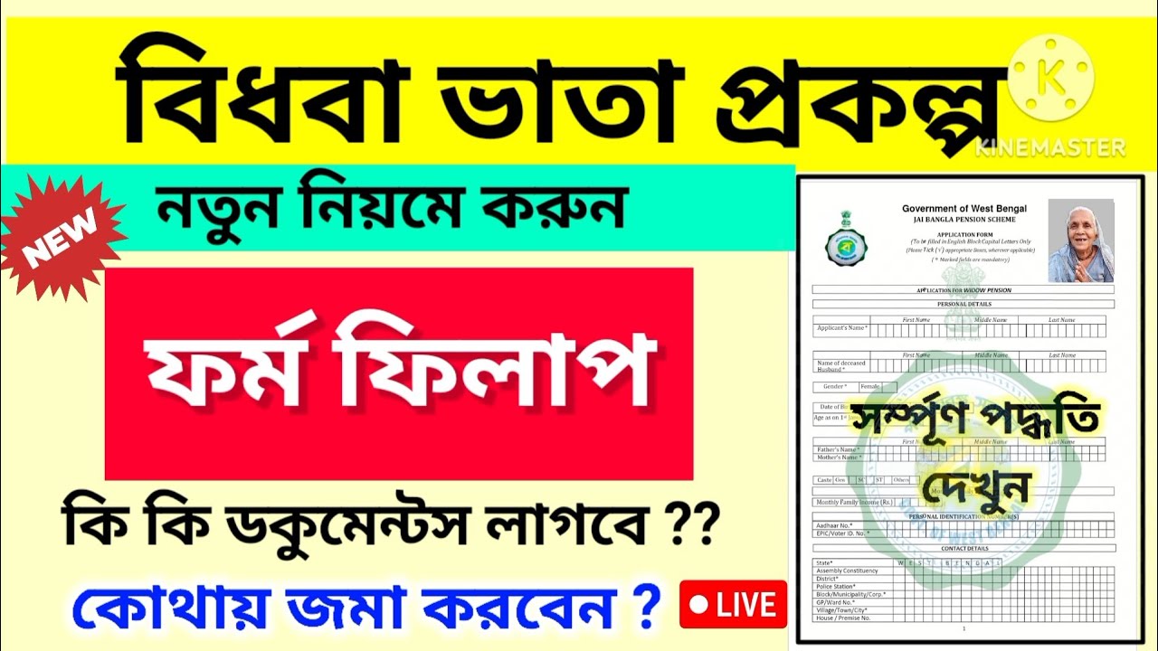 Widow Pension Form Fill up 2025 || Bidhaba Vata Form Fill up 2025 || WB ...