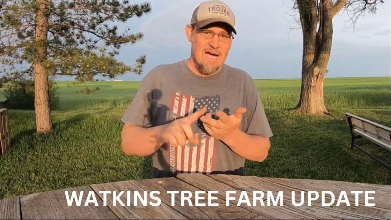 Watkins Tree Farm Update - YouTube