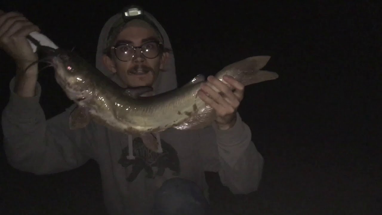 Reality of catfishing - YouTube