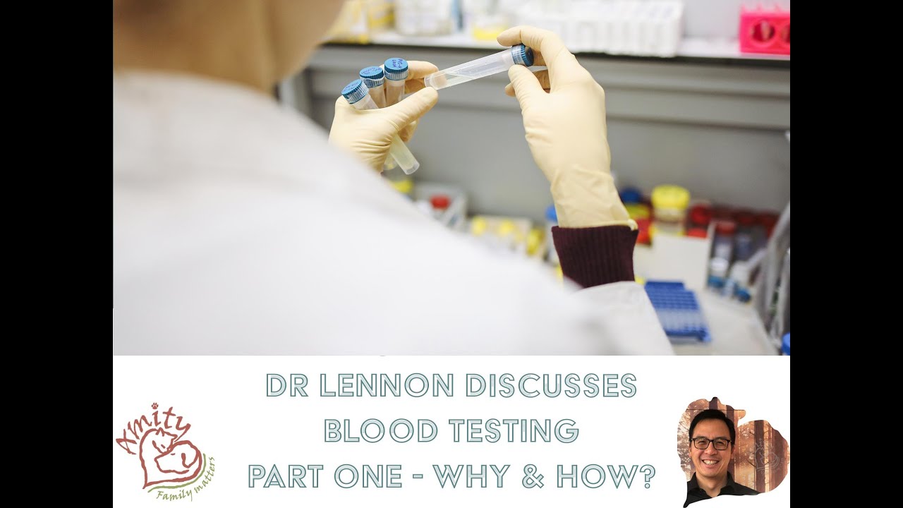 Blood Testing In Animals - YouTube