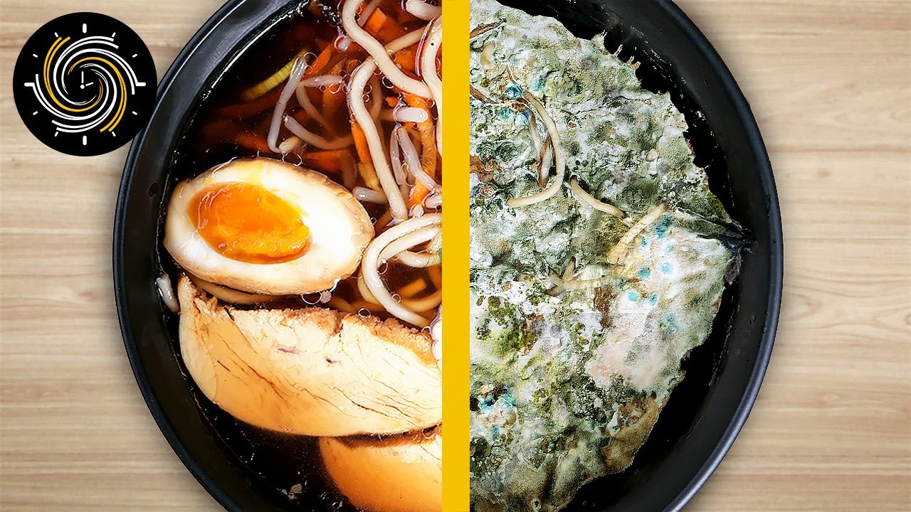 Ramen rots in Time Lapse | 2 weeks in 2 minutes | Macro Mold Shots ...