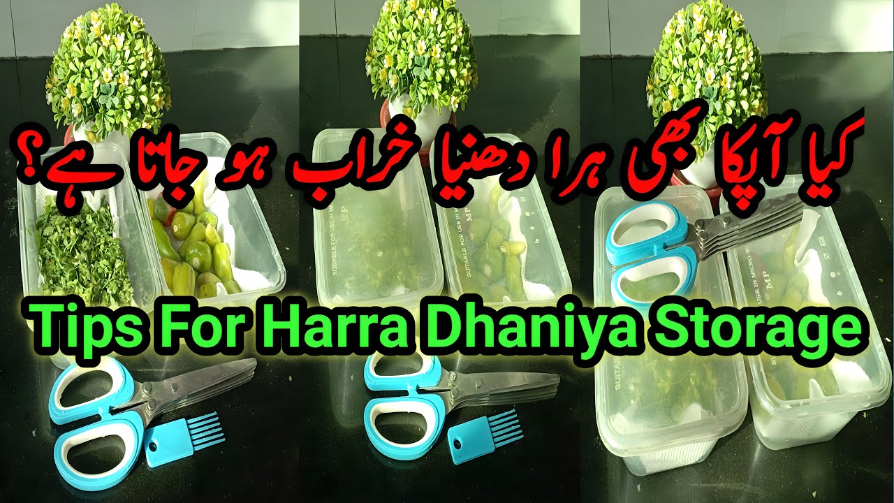 Tips for Harra Dhaniya & Mirchi Storage | 5 Blade Scissor Usage - YouTube
