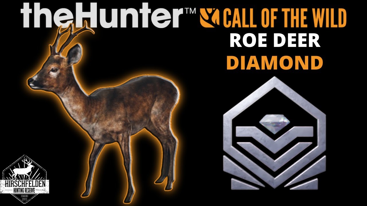 DIAMOND 😲 Roe Deer (Brown) in theHunter Call of the Wild | HIRSCHFELDEN ...