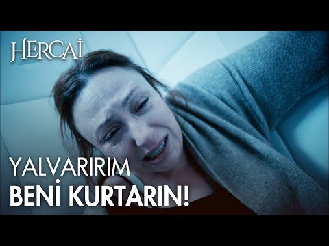 Sultan deliriyor!  - Hercai Efsane Sahneler