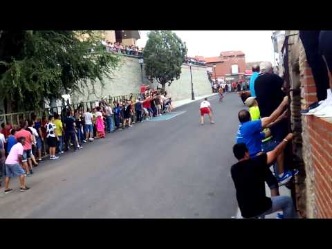 1° encierro de Yuncos 2015