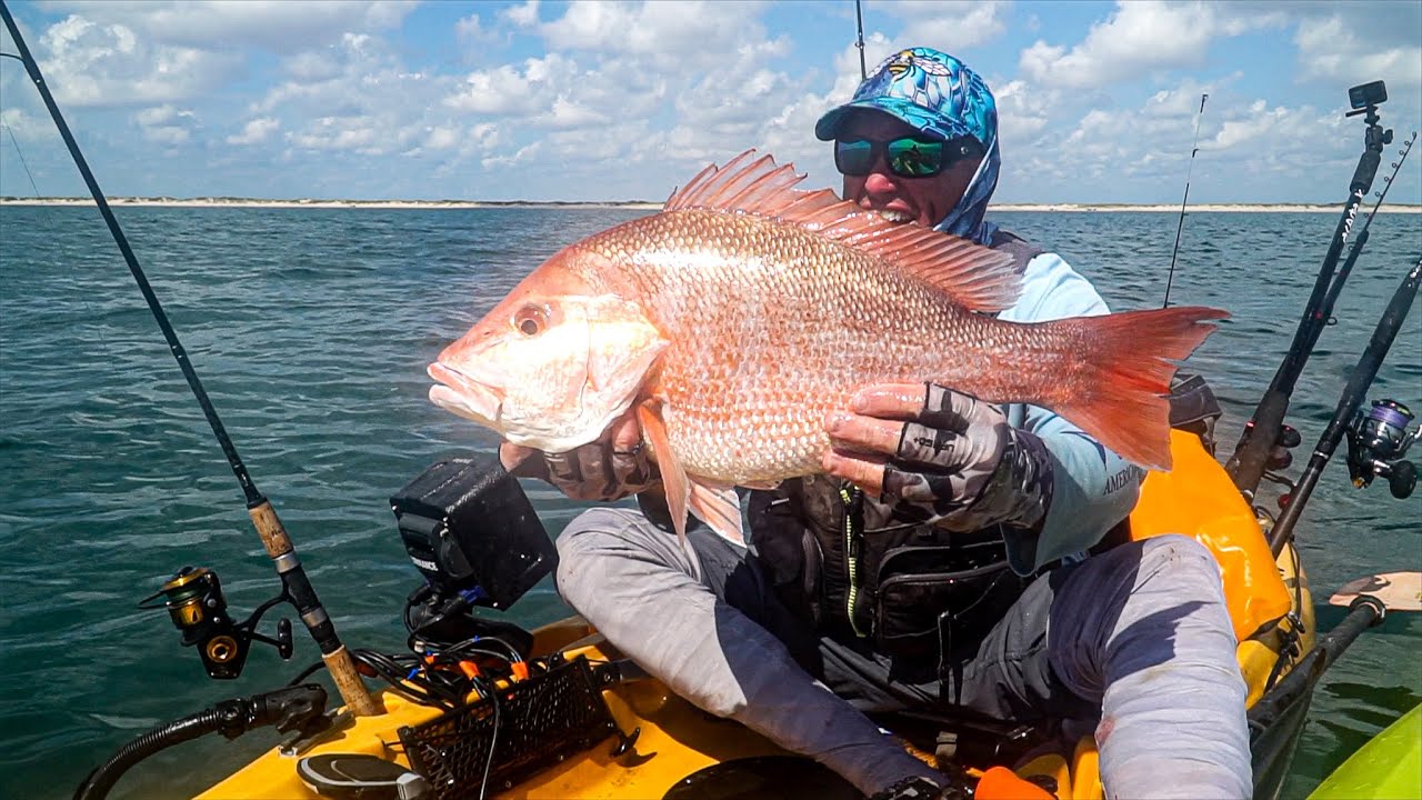 My secret weapon for Big Snapper!Plus Flying fish laying the smackdown ...