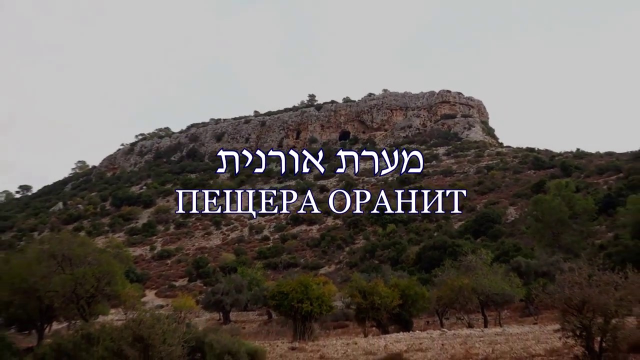 ישראל טבע מערת אורנית пещера Оранит Израиль природа oranit cave israel ...