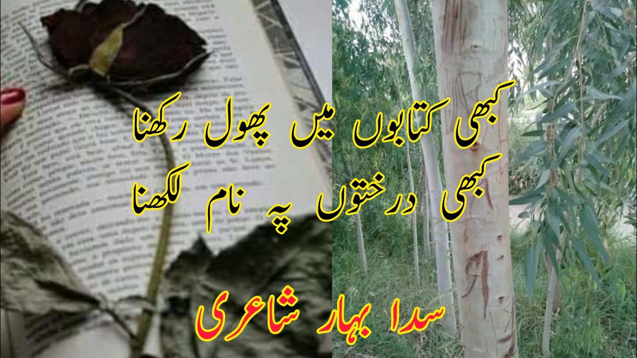 Kbhi Kitabon Main Phool Rakhna ll Heart Touching poetry ll#poetry @Shab ...