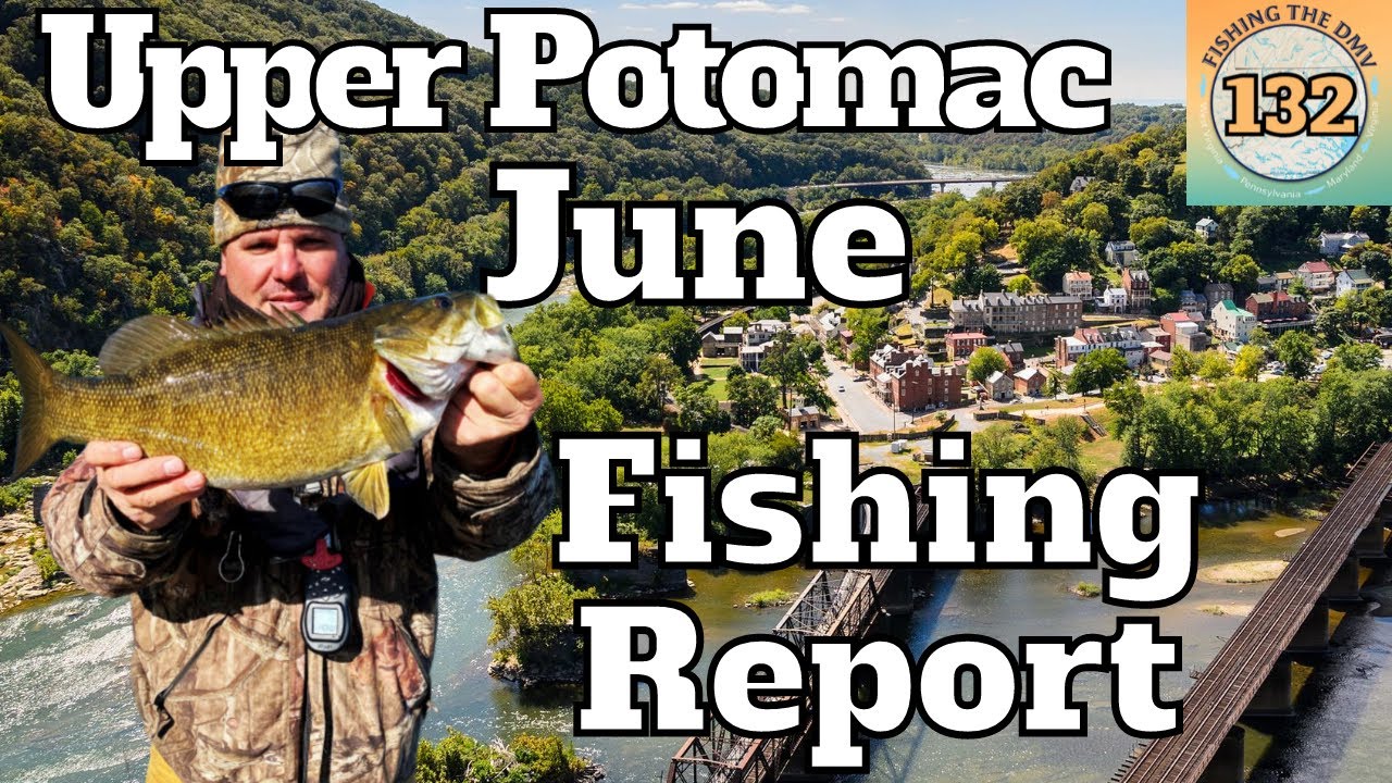 Upper Potomac River Summer Fishing Report with Shallow Water Fishing ...