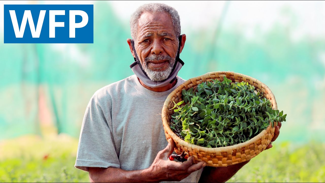 Here's how we empower smallholder farmers in Jordan | WFP - YouTube