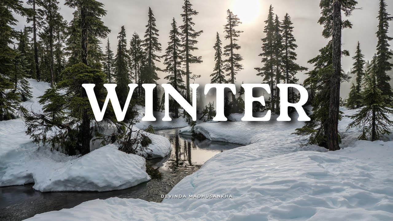 Winter - Nature Relaxation Snow Travel Video | 4K Ultra HD - YouTube