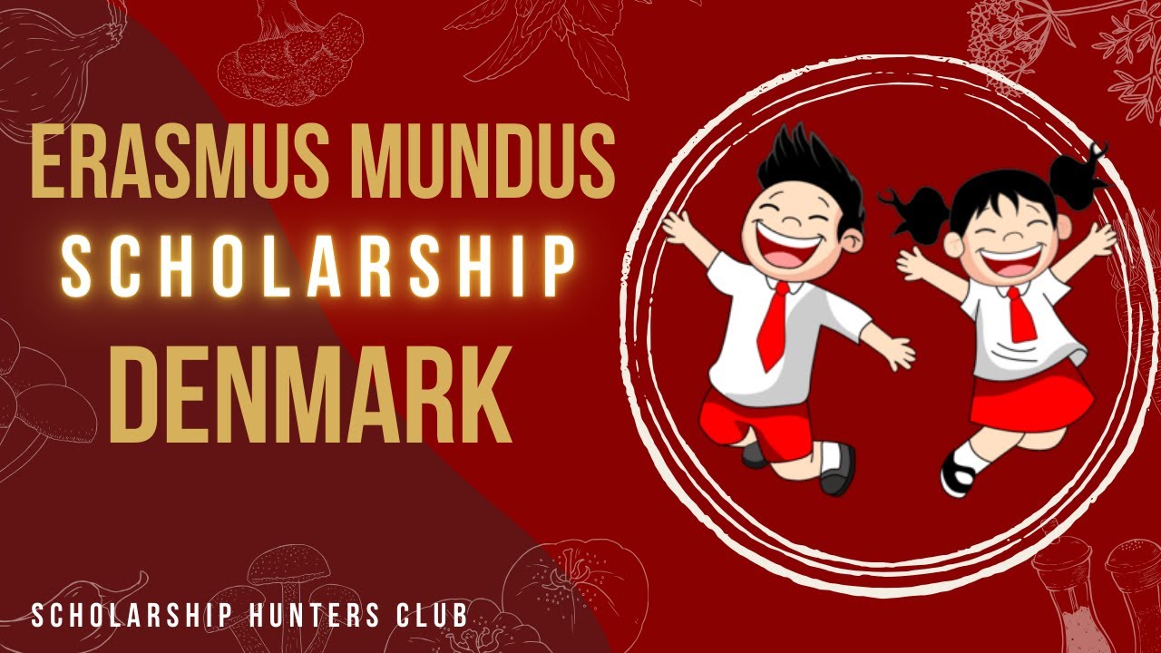How to Apply for the Erasmus Mundus Scholarships Denmark: Stepwise Procedure - YouTube