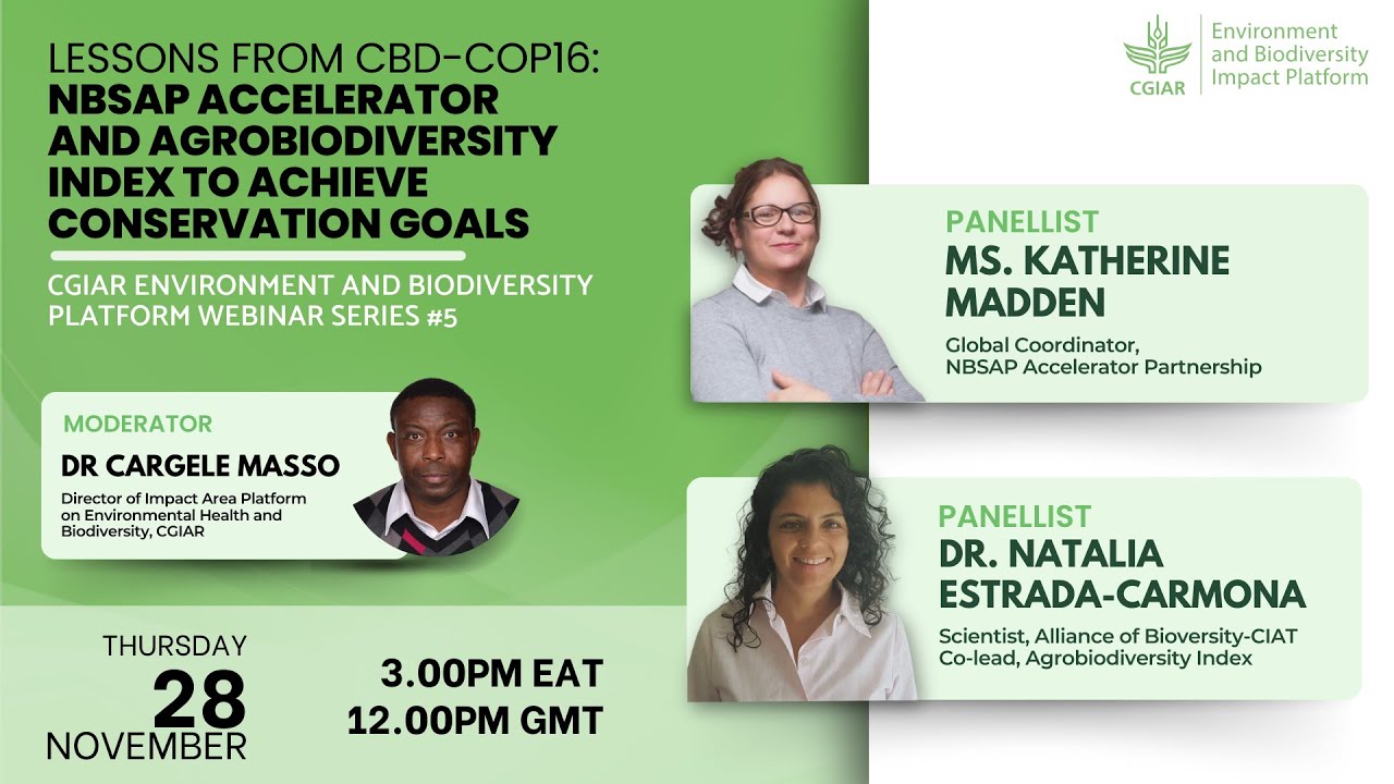 Lessons from CBD-COP16: NBSAP accelerator and agrobiodiversity index to ...