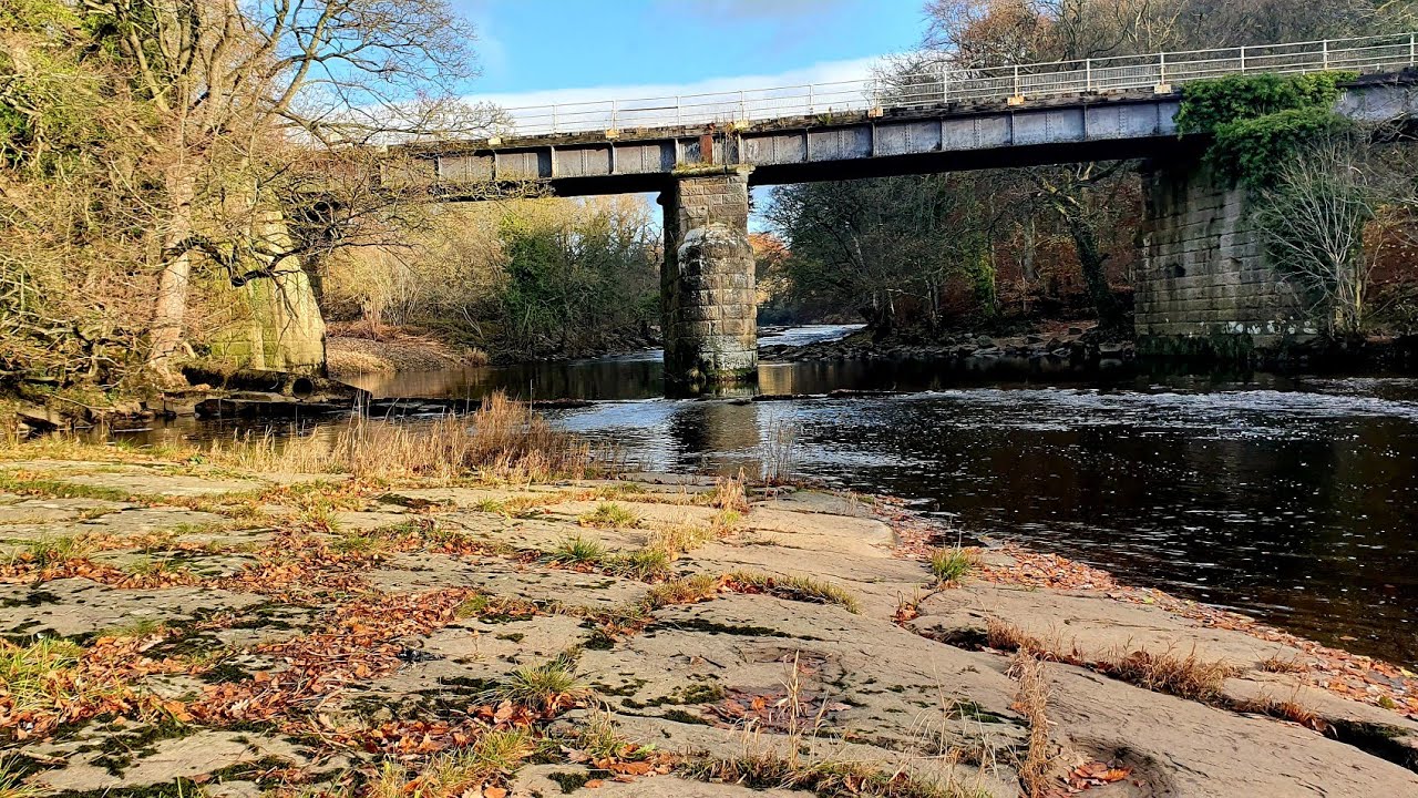 River Swale Flyfishing ,north yorkshire ,Winter Grayling .nov 2021 ...