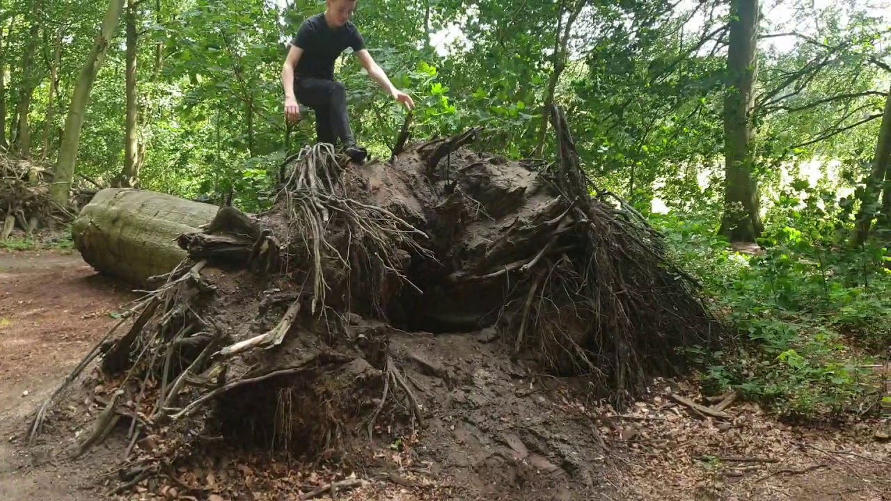 Bootcamp personal trainer Donald Berner - YouTube