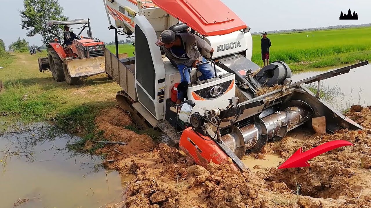 ម៉ាស៊ីនច្រូតជាប់ផុង | Harvester Vs Muddy | Rice Harvester Stuck In Mud ...