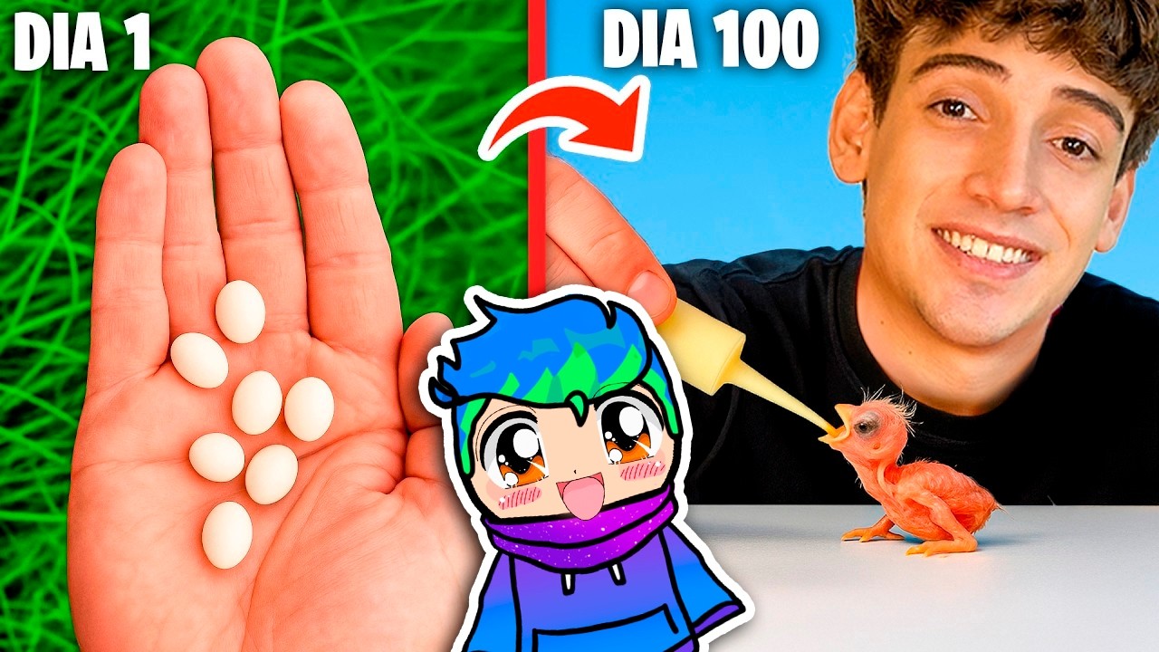 🐣Rescaté 100 Huevos Misteriosos y Nacieron🐣 / Carlos Infinito REACCIONA ...