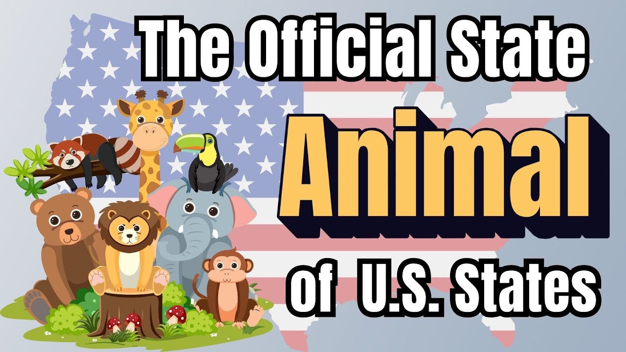 The Official State Animal of Every U S State 🐾 America’s Most Iconic ...