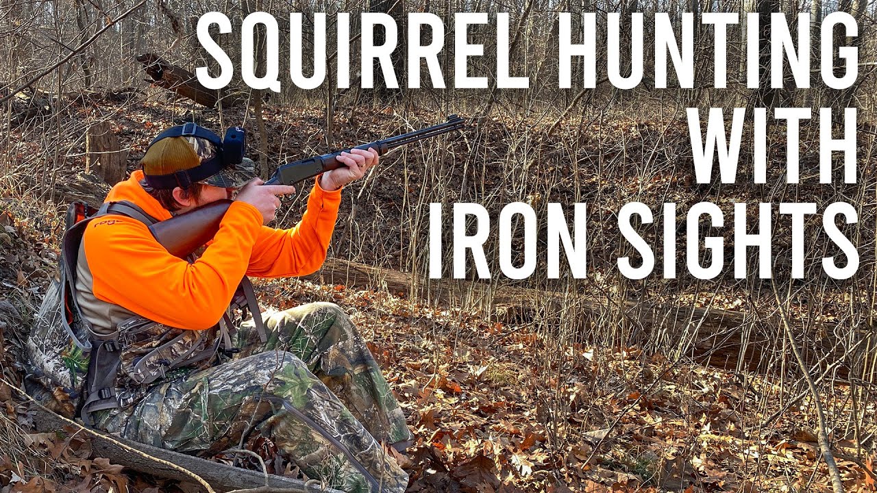 Squirrel Hunting With My New LEVER ACTION - YouTube