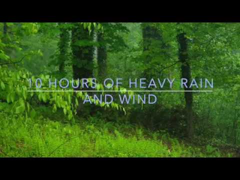 10 Hours of Heavy Rain and Wind Sounds - YouTube